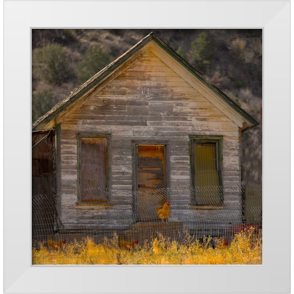 Linden, Sally 20x20 White Modern Wood Framed Museum Art Print Titled ...