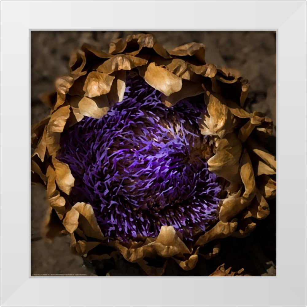 Linden, Sally 26x26 White Modern Wood Framed Museum Art Print Titled ...
