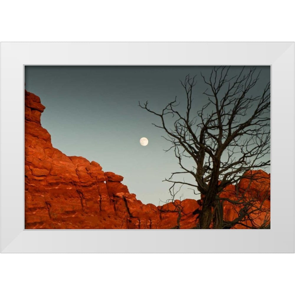 Linden, Sally 32x23 White Modern Wood Framed Museum Art Print Titled ...