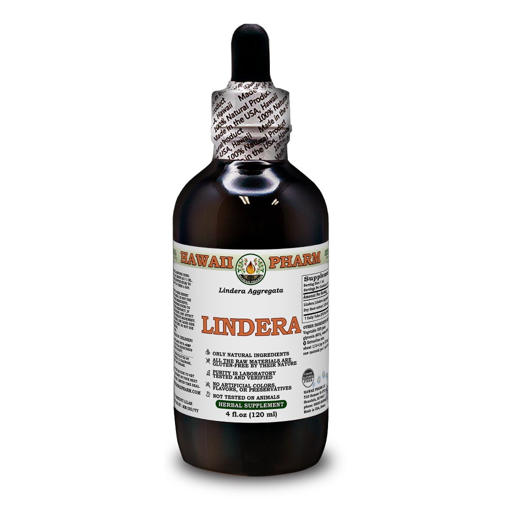 Lindera (Lindera Aggregata) Dry Root ALCOHOL-FREE Liquid Extract ...