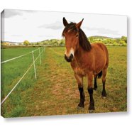 ArtWall Mark Adlington "Underwater Bear" Gallery-Wrapped Canvas - Walmart.com