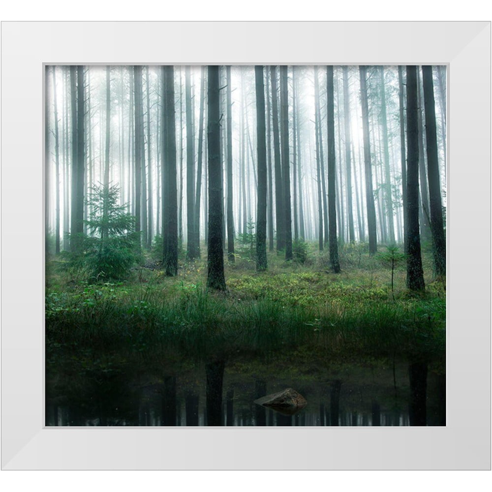 Lindsten, Christian 13x12 White Modern Wood Framed Museum Art Print Titled - Lake In Forest ...
