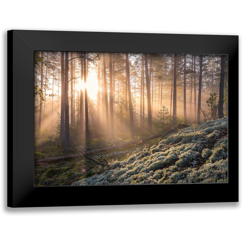Lindsten, Christian 14x11 Black Modern Framed Museum Art Print Titled - Fog In The Forest With ...