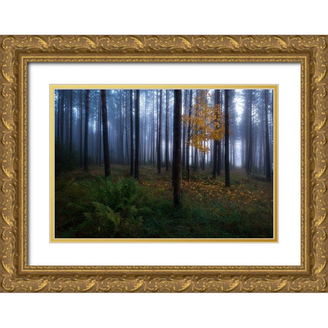 Lindsten, Christian 14x11 Gold Ornate Wood Framed with Double Matting Museum Art Print Titled ...