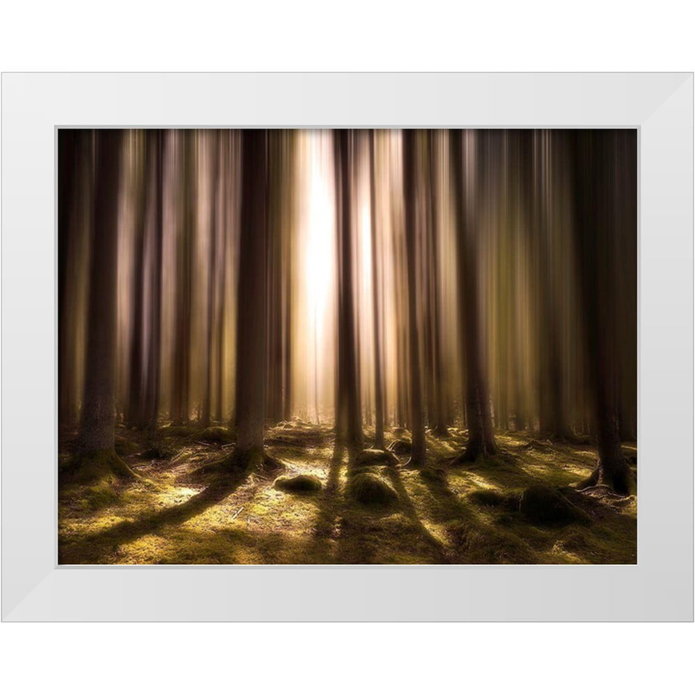 Lindsten, Christian 14x12 White Modern Wood Framed Museum Art Print Titled - Breath Of Life ...