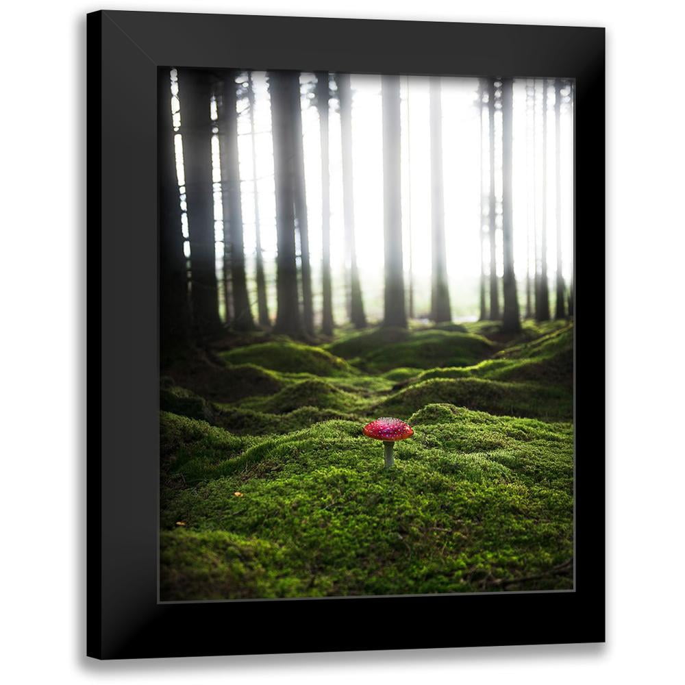 Lindsten, Christian 15x18 Black Modern Framed Museum Art Print Titled - Red Mushroom In The ...