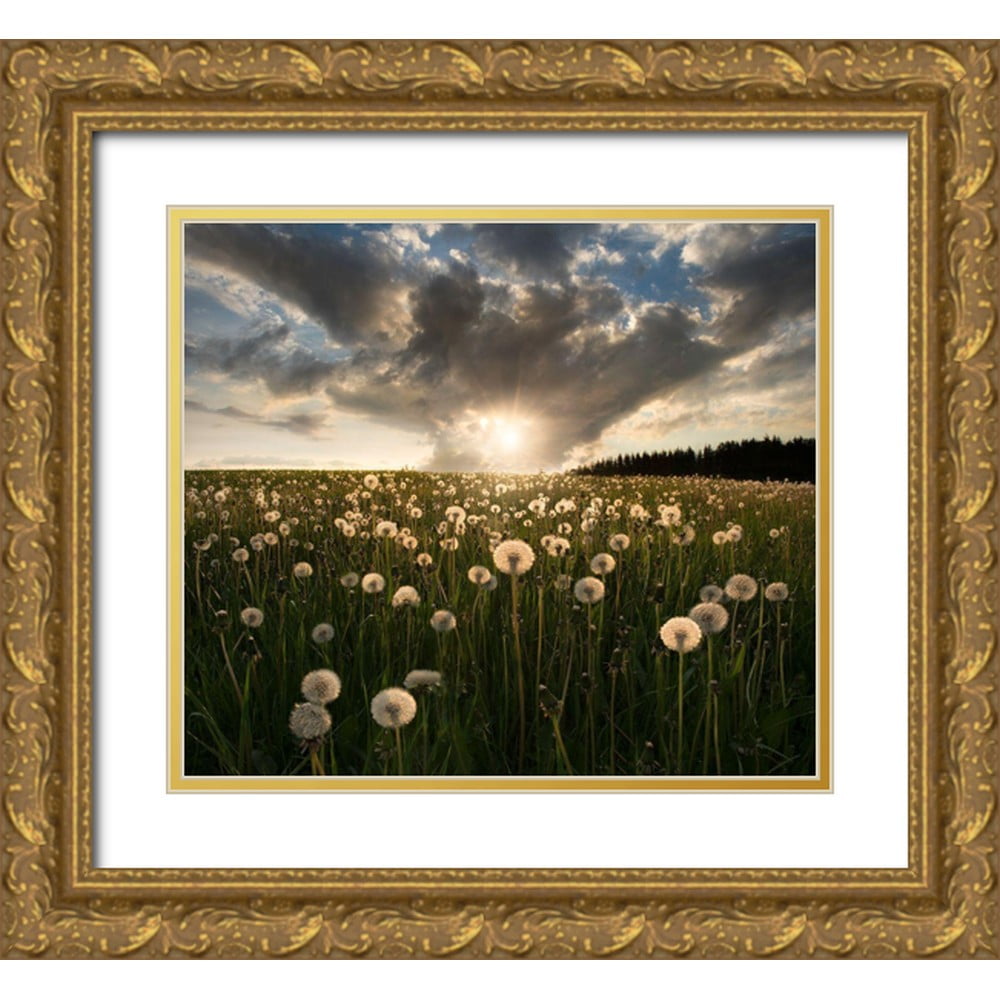 Lindsten, Christian 17x15 Gold Ornate Wood Framed with Double Matting Museum Art Print Titled ...