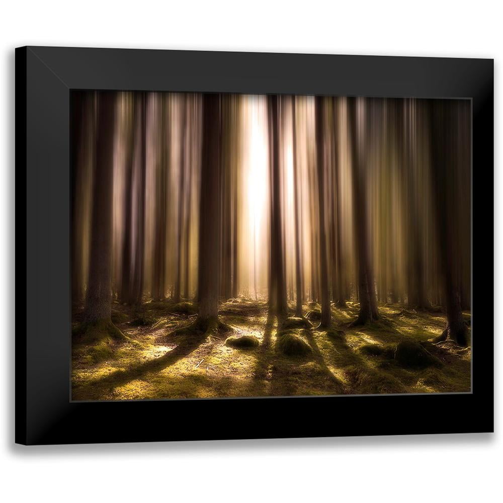 Lindsten, Christian 18x15 Black Modern Framed Museum Art Print Titled - Breath Of Life - Walmart.com