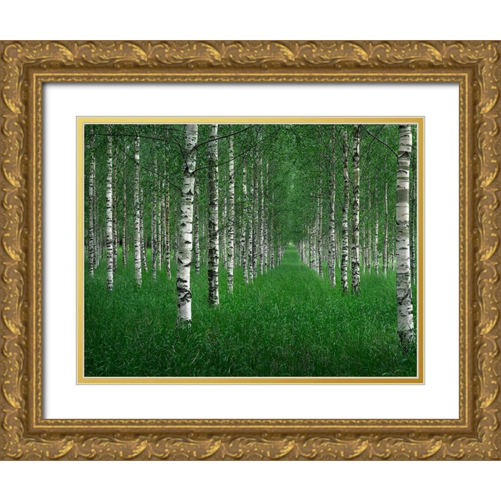 Lindsten, Christian 18x15 Gold Ornate Wood Framed with Double Matting Museum Art Print Titled ...