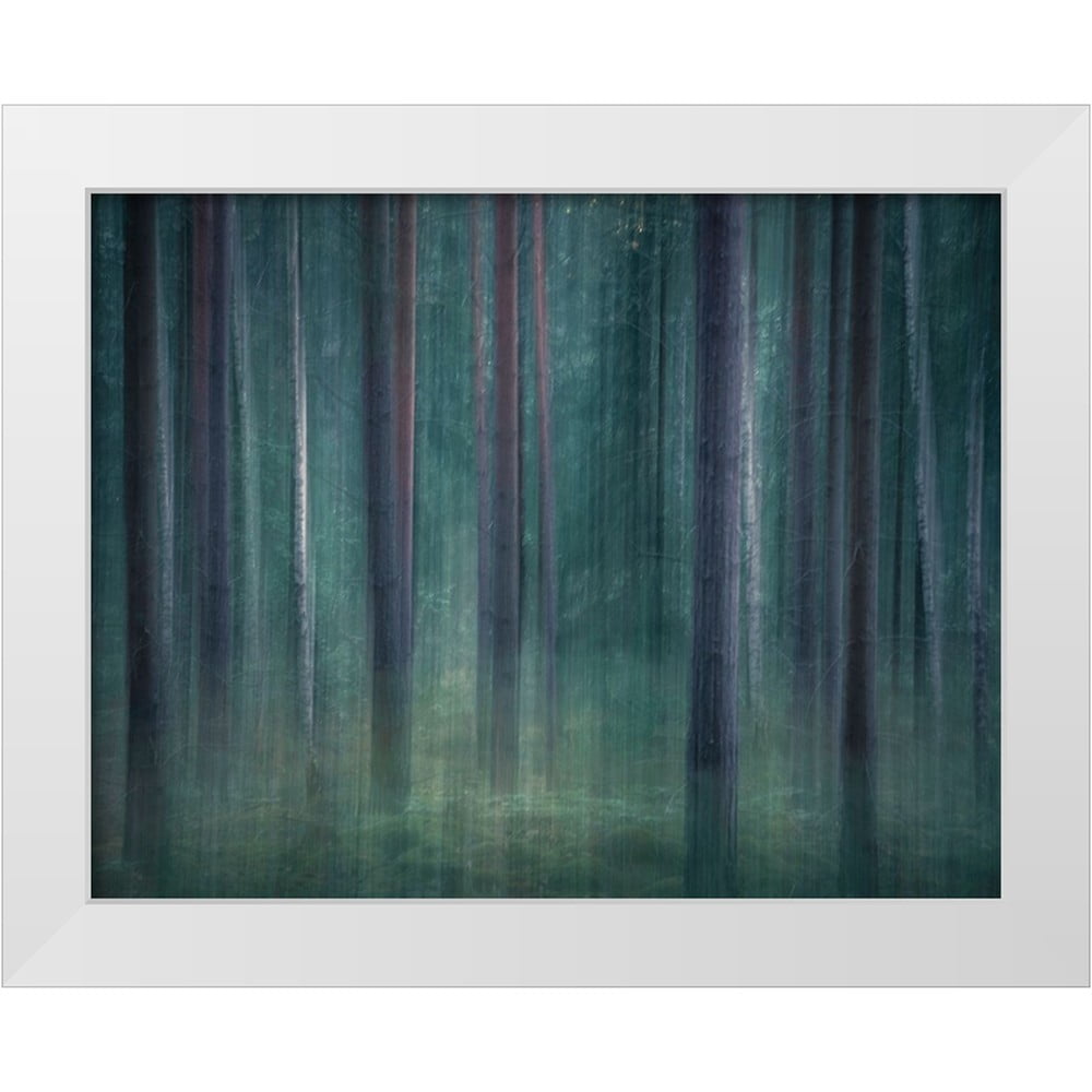 Lindsten, Christian 18x15 White Modern Wood Framed Museum Art Print Titled - ICM 9 - Walmart.com