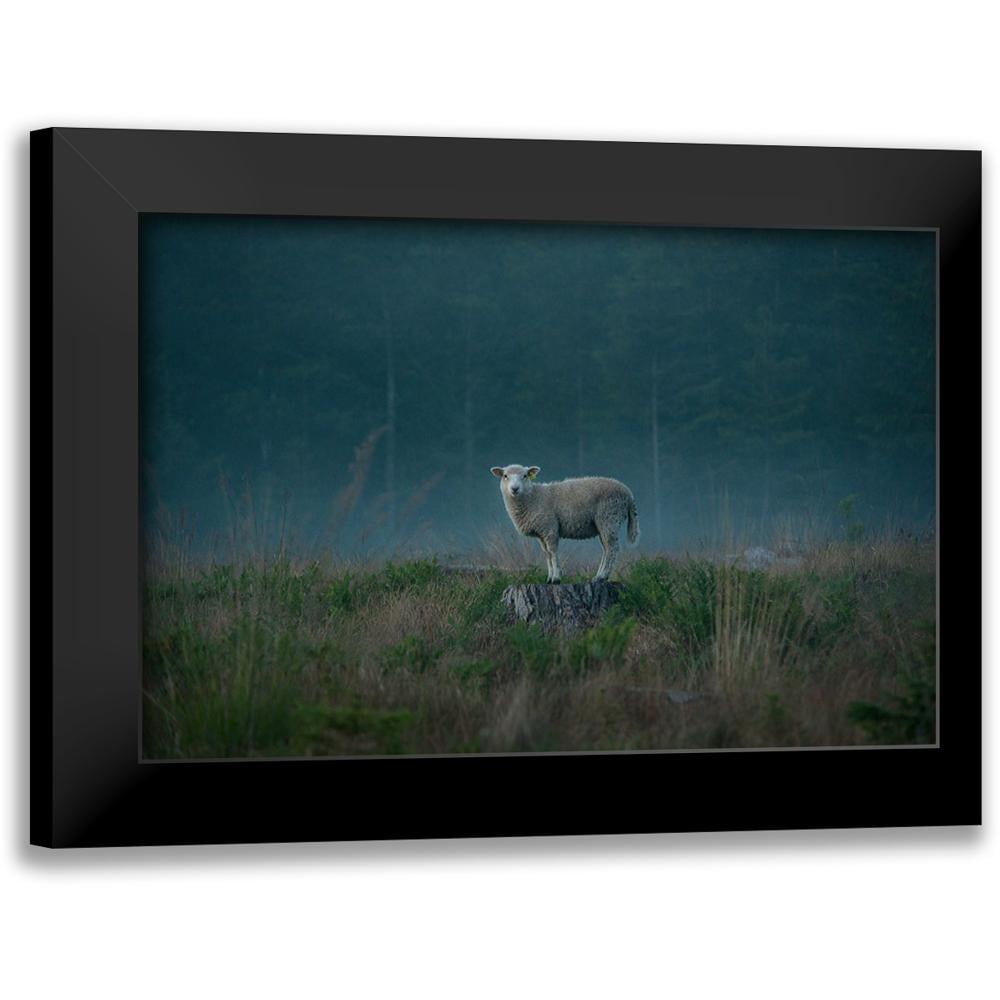 Lindsten, Christian 24x17 Black Modern Framed Museum Art Print Titled - Moody Sheep - Walmart.com