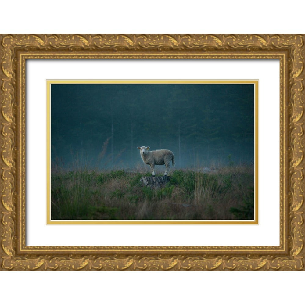 Lindsten, Christian 24x17 Gold Ornate Wood Framed with Double Matting Museum Art Print Titled ...