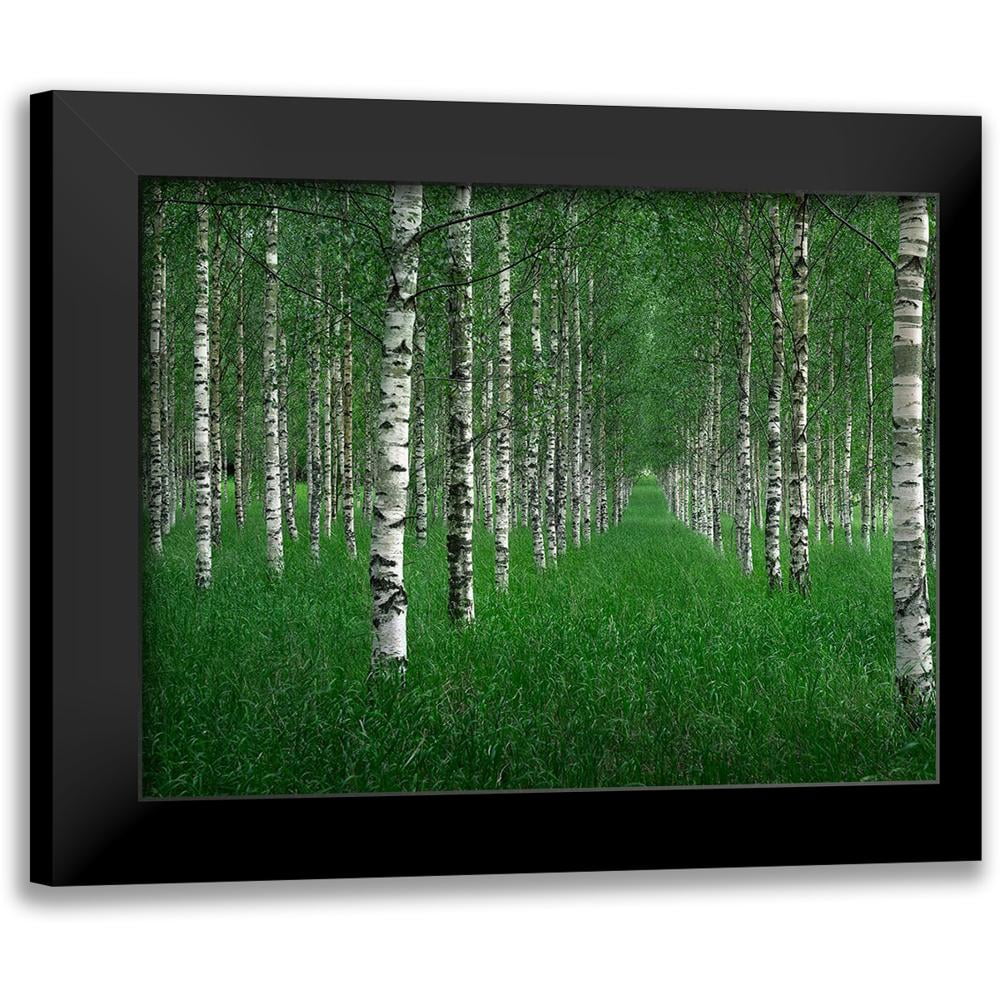 Lindsten, Christian 24x19 Black Modern Framed Museum Art Print Titled - The Tunnel - Walmart.com