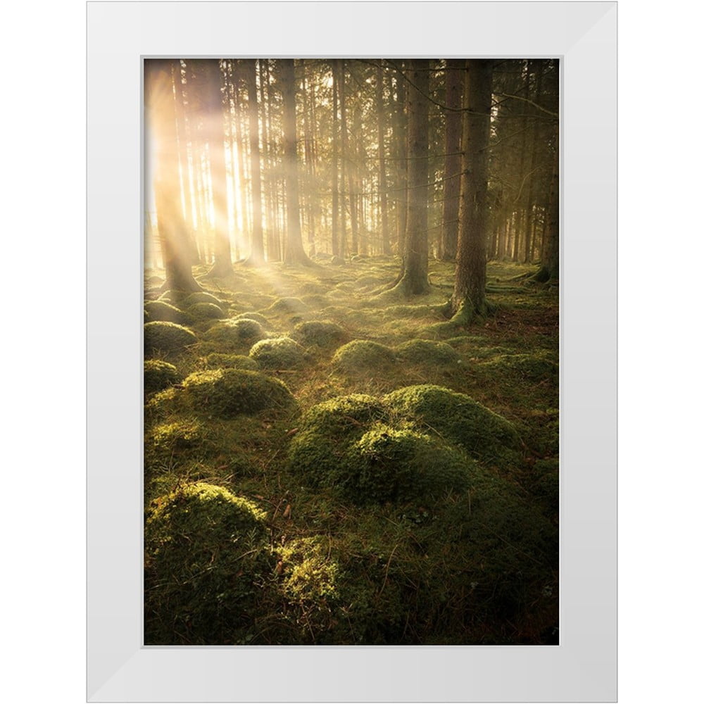 Lindsten, Christian 24x32 White Modern Wood Framed Museum Art Print Titled - In The Woods ...