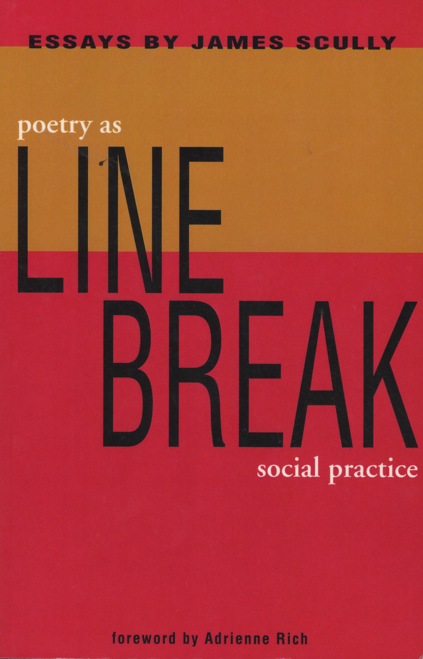 Line Break : Poetry as Social Practice (Paperback) - Walmart.com