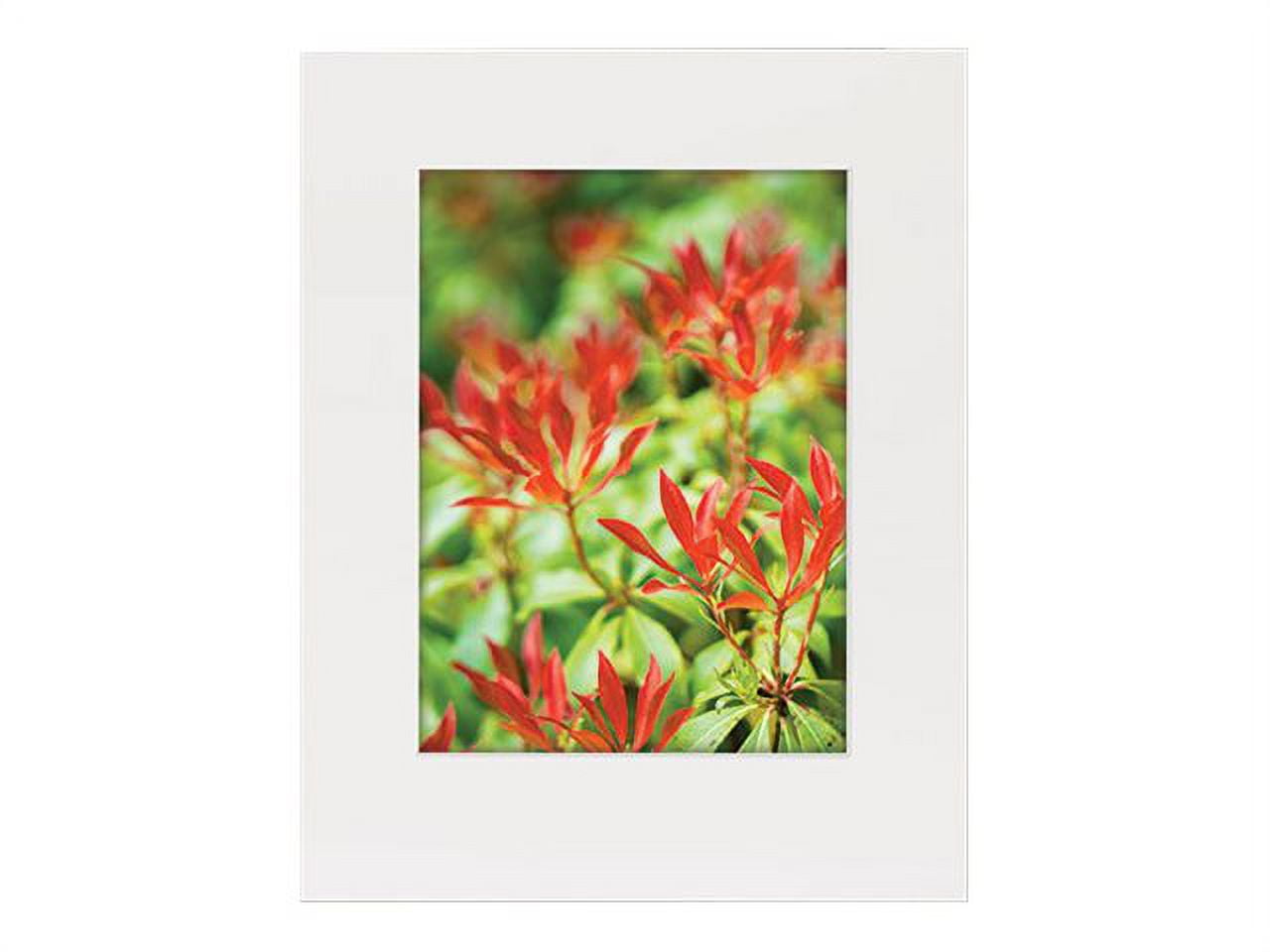 Lineco Conservation Mat Board - Mat - 8x10 in (20x25 cm) x 25 - Walmart.com