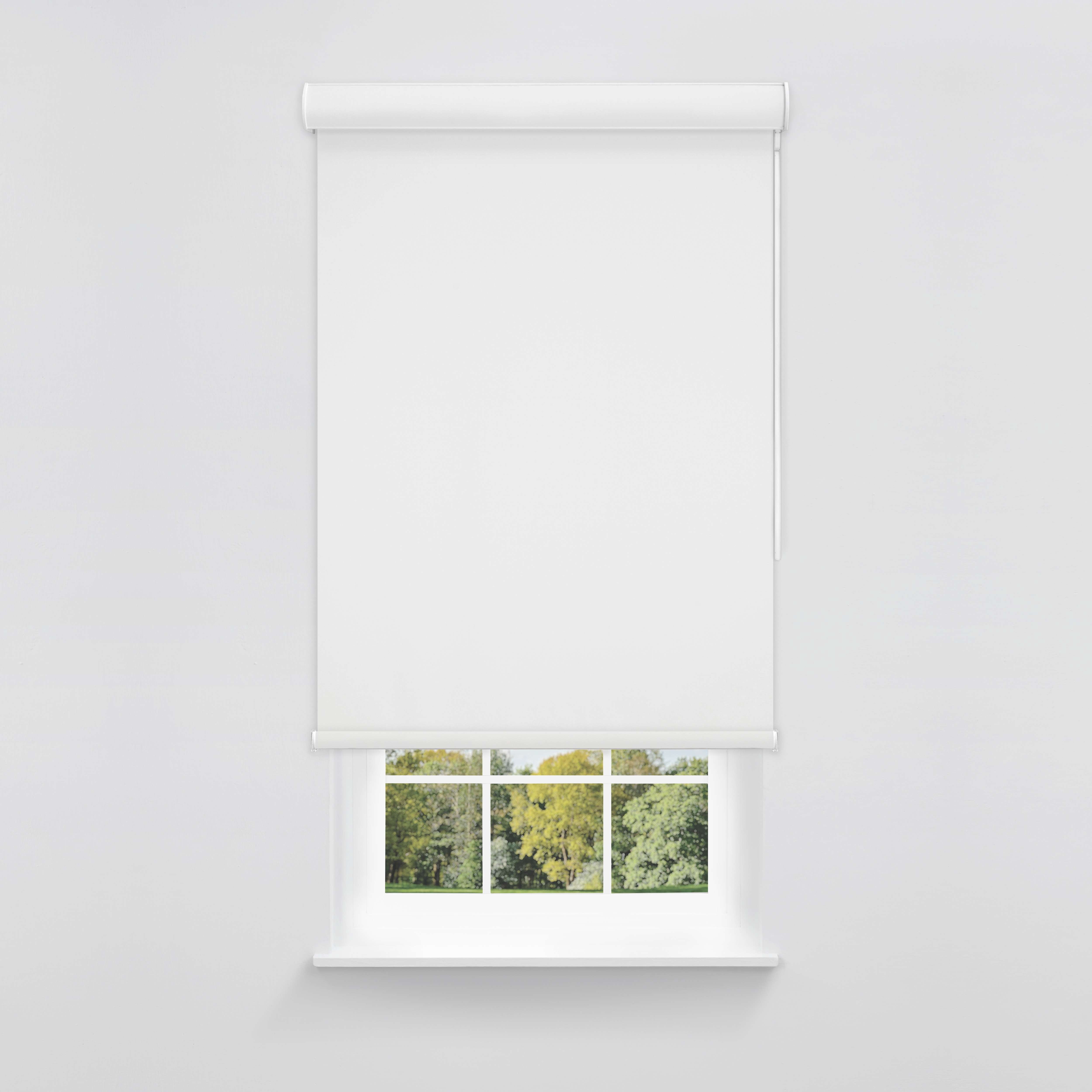 Linen Avenue Cordless Sierra Blackout Cassette Roller Shade with Bloc ...