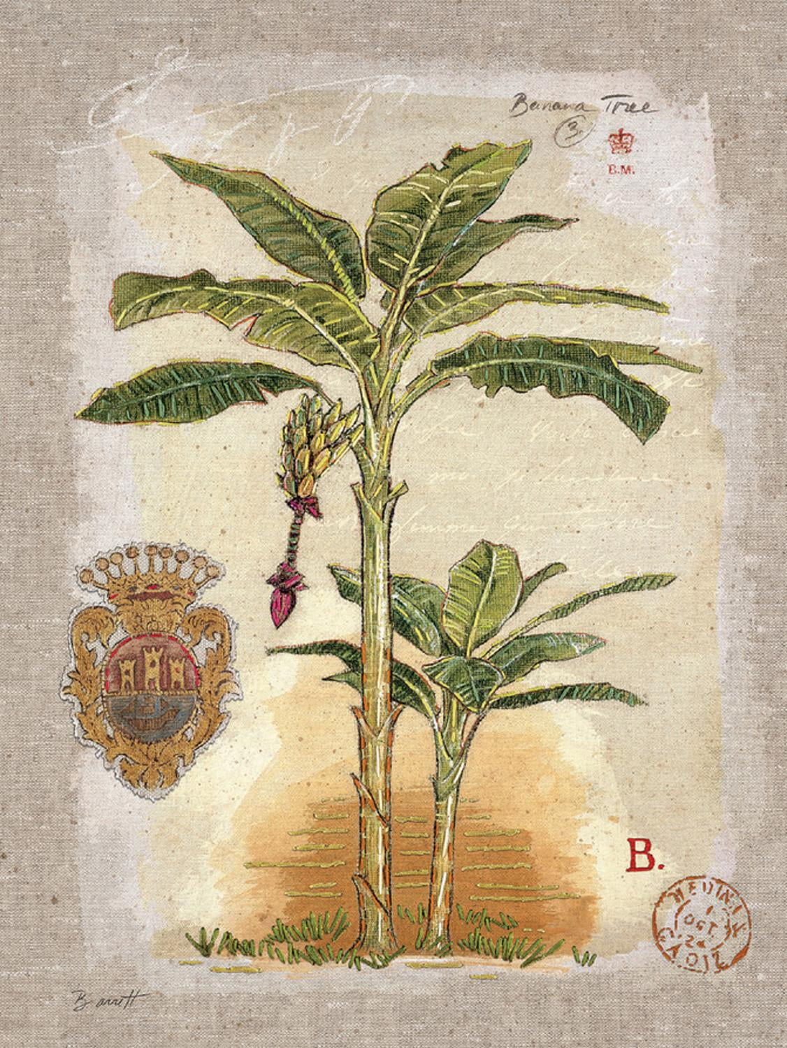 Art.com Linen Banana Palm Tree Art Print by Chad Barrett, 24" x 32 ...