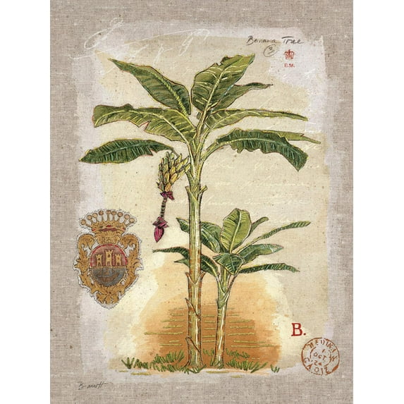 Art.com Linen Banana Palm Tree Art Print by Chad Barrett, 24" x 32 ...