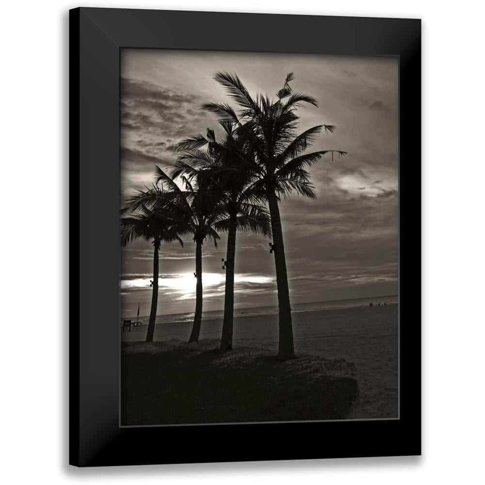Ling, Tang 12x14 Black Modern Framed Museum Art Print Titled - Palms at ...