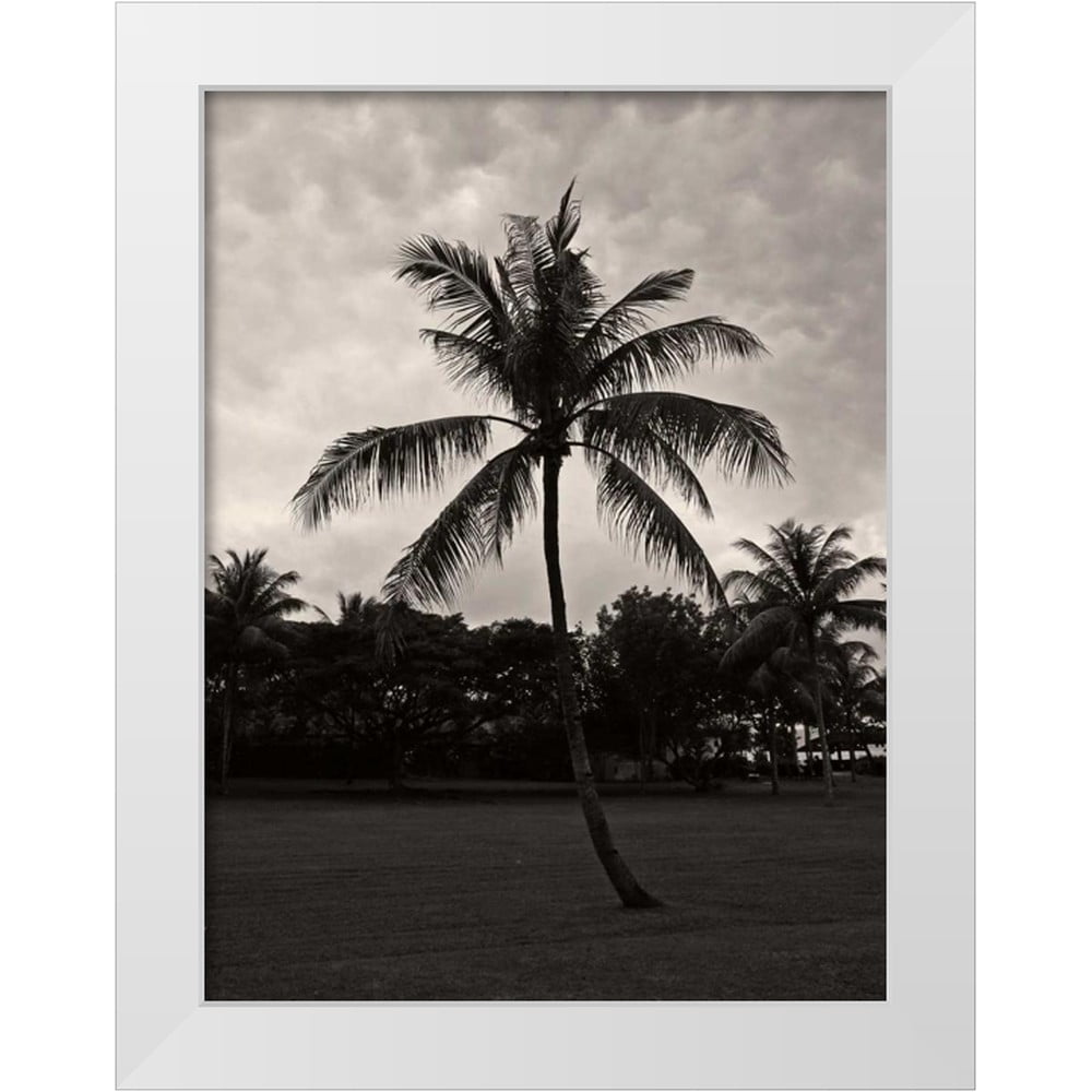 Ling, Tang 12x14 White Modern Wood Framed Museum Art Print Titled ...