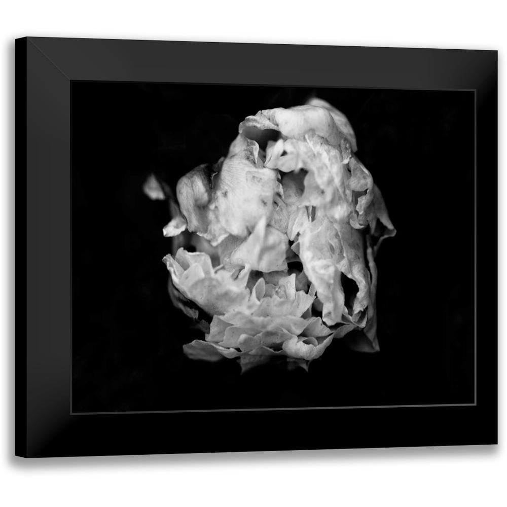 Ling, Tang 14x12 Black Modern Framed Museum Art Print Titled - Poetry ...