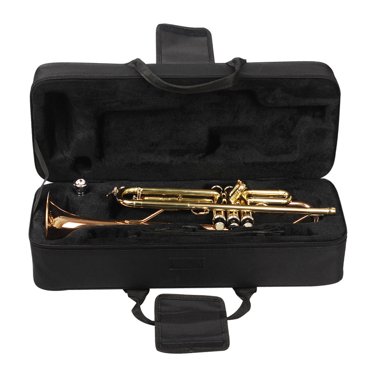 Gator Rigid EPS Foam Lightweight Case for Flute (GL-FLUTE-A) - Walmart.com