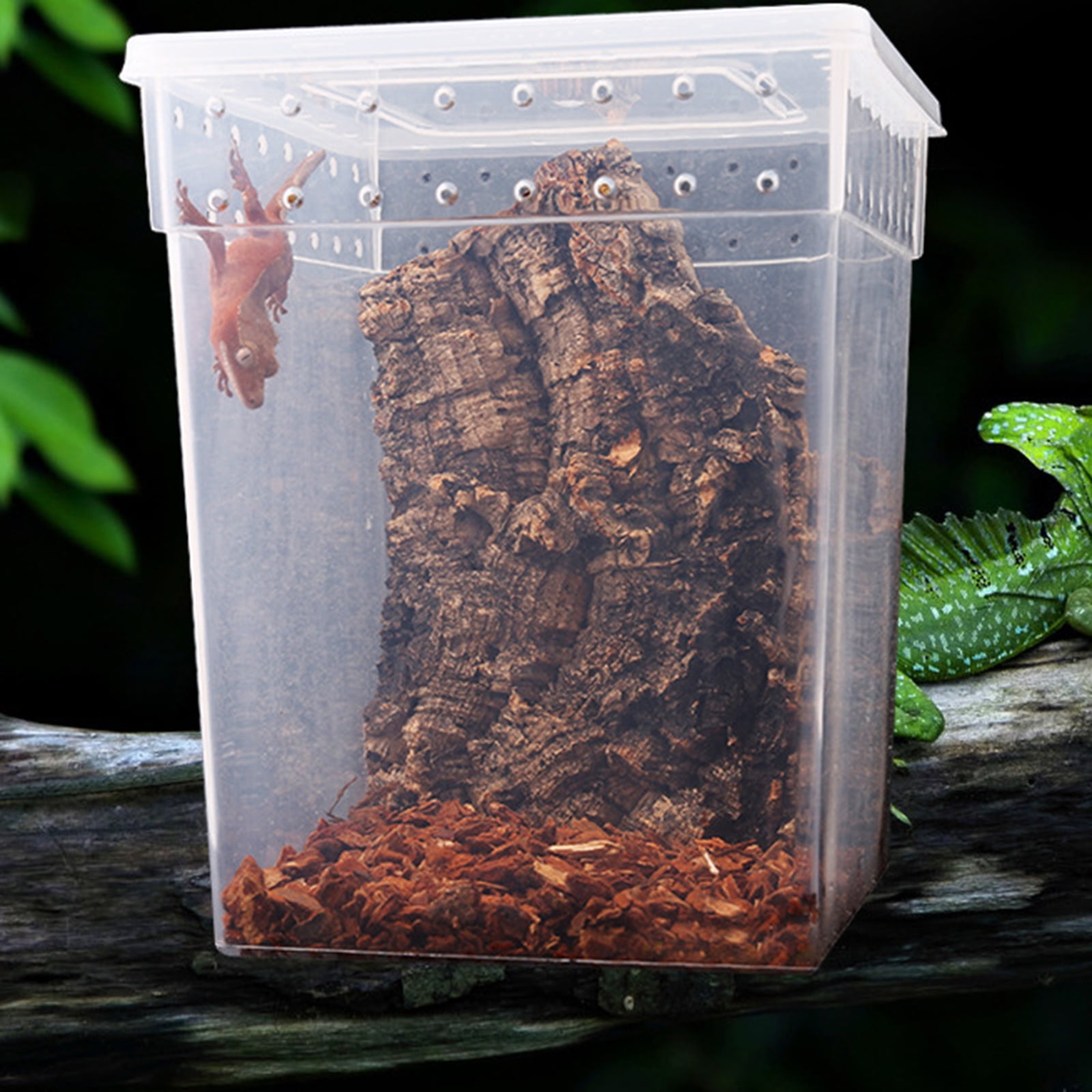 LingStar Reptile Feeding Box, Tarantula Enclosure, Turtle Tank Aquarium ...