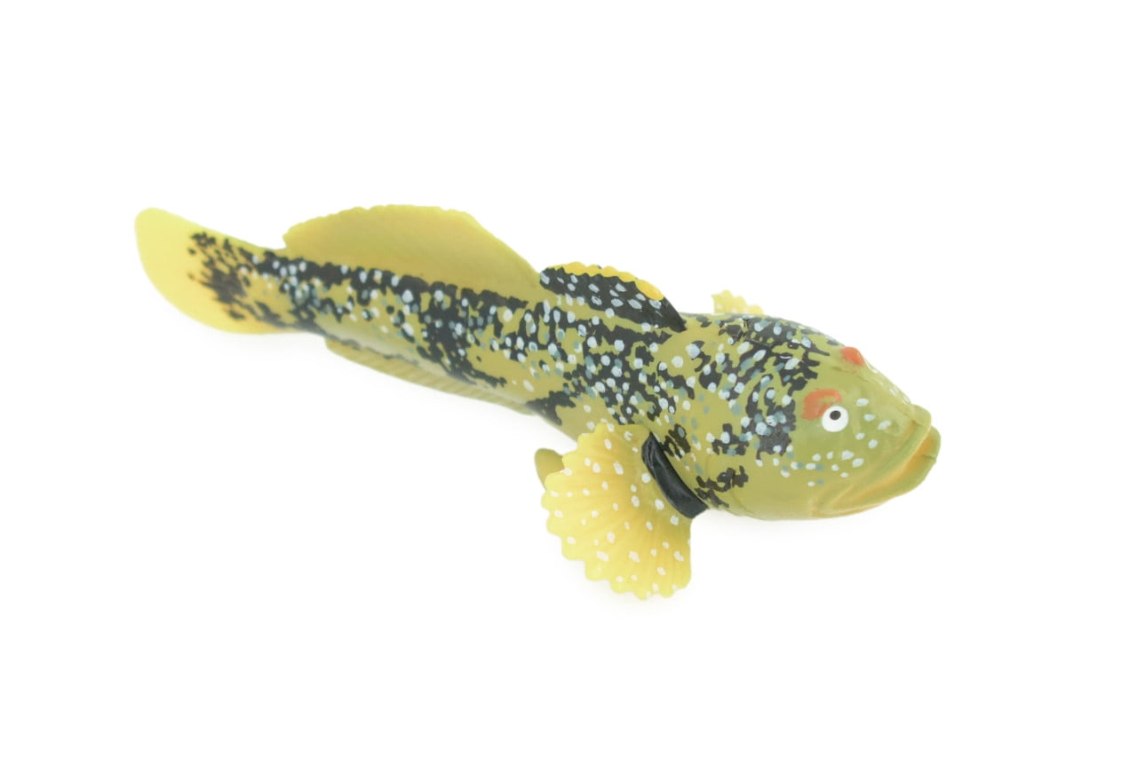 Lingcod Fish, Hand Painted, Museum Quality, Educational, Rubber Fish ...