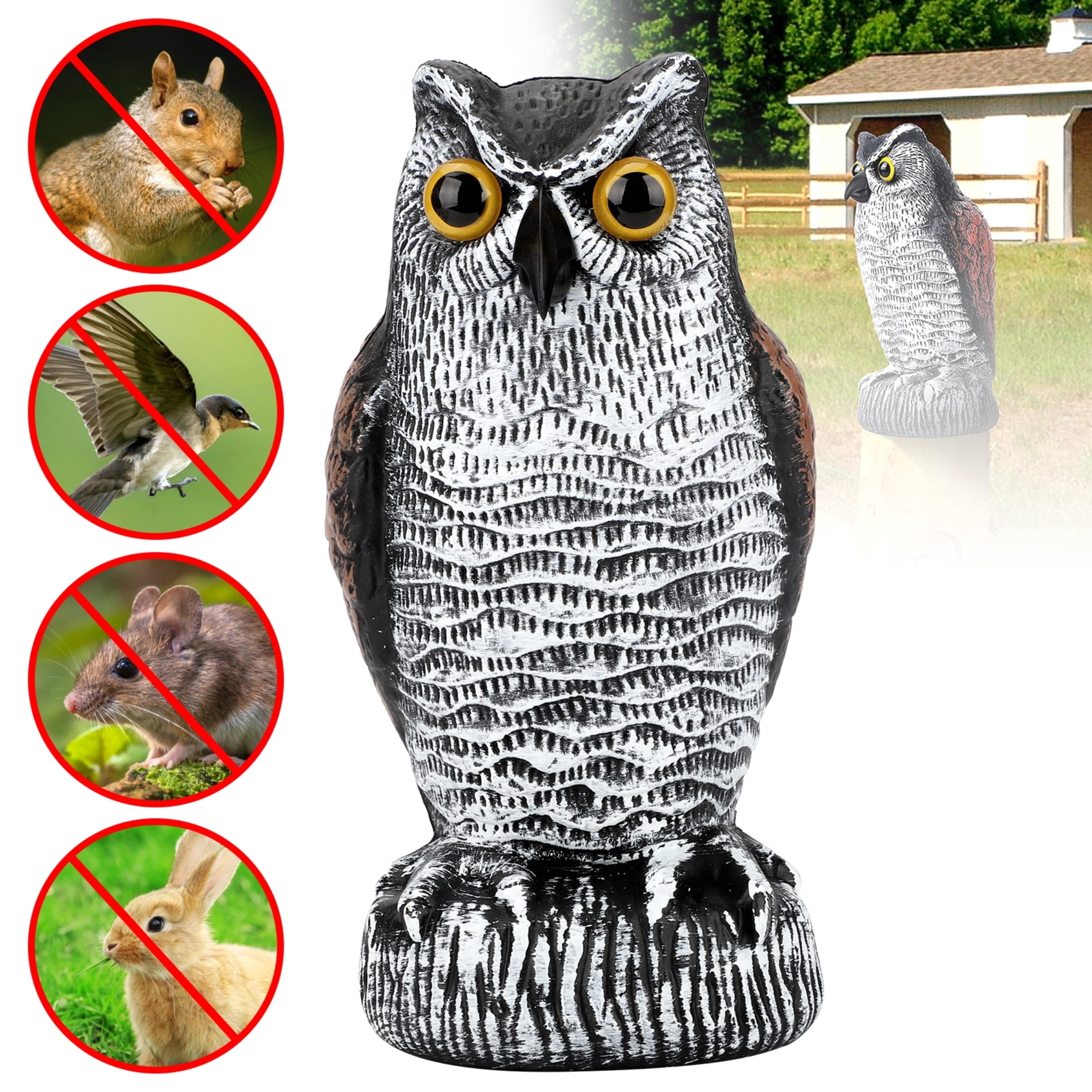 Owl Decoys