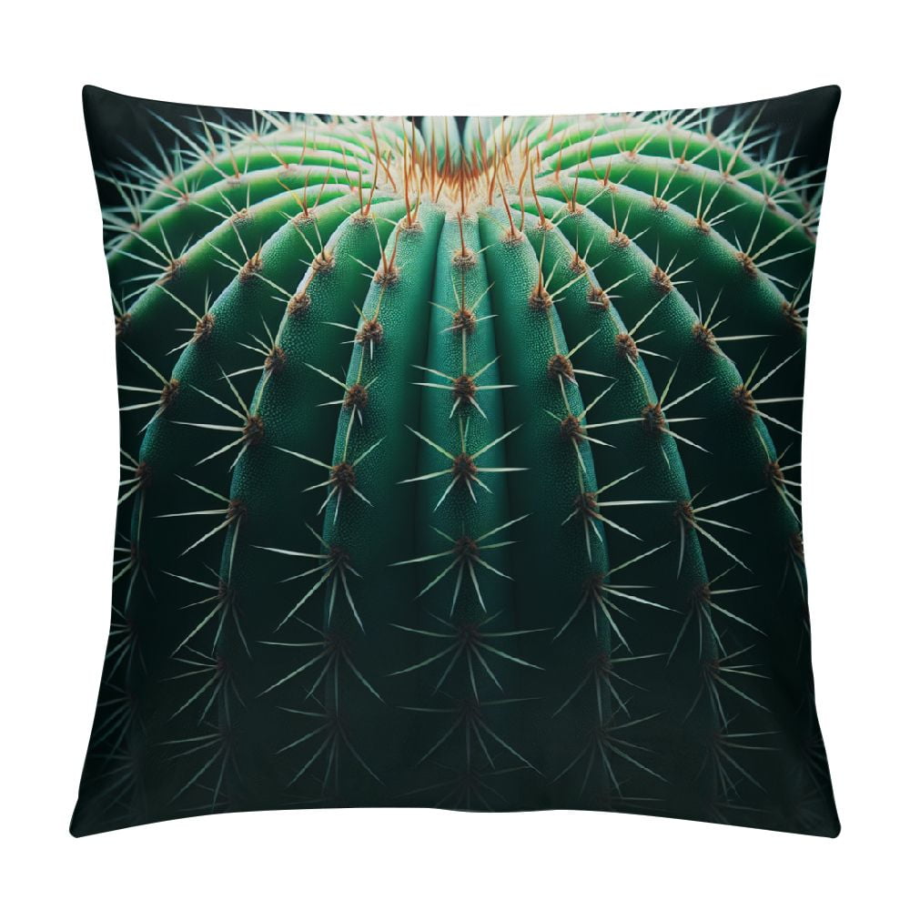 Lingy Hopyeer Rustic Mexican Desert Cactus Plant Throw Pillow Covers ...