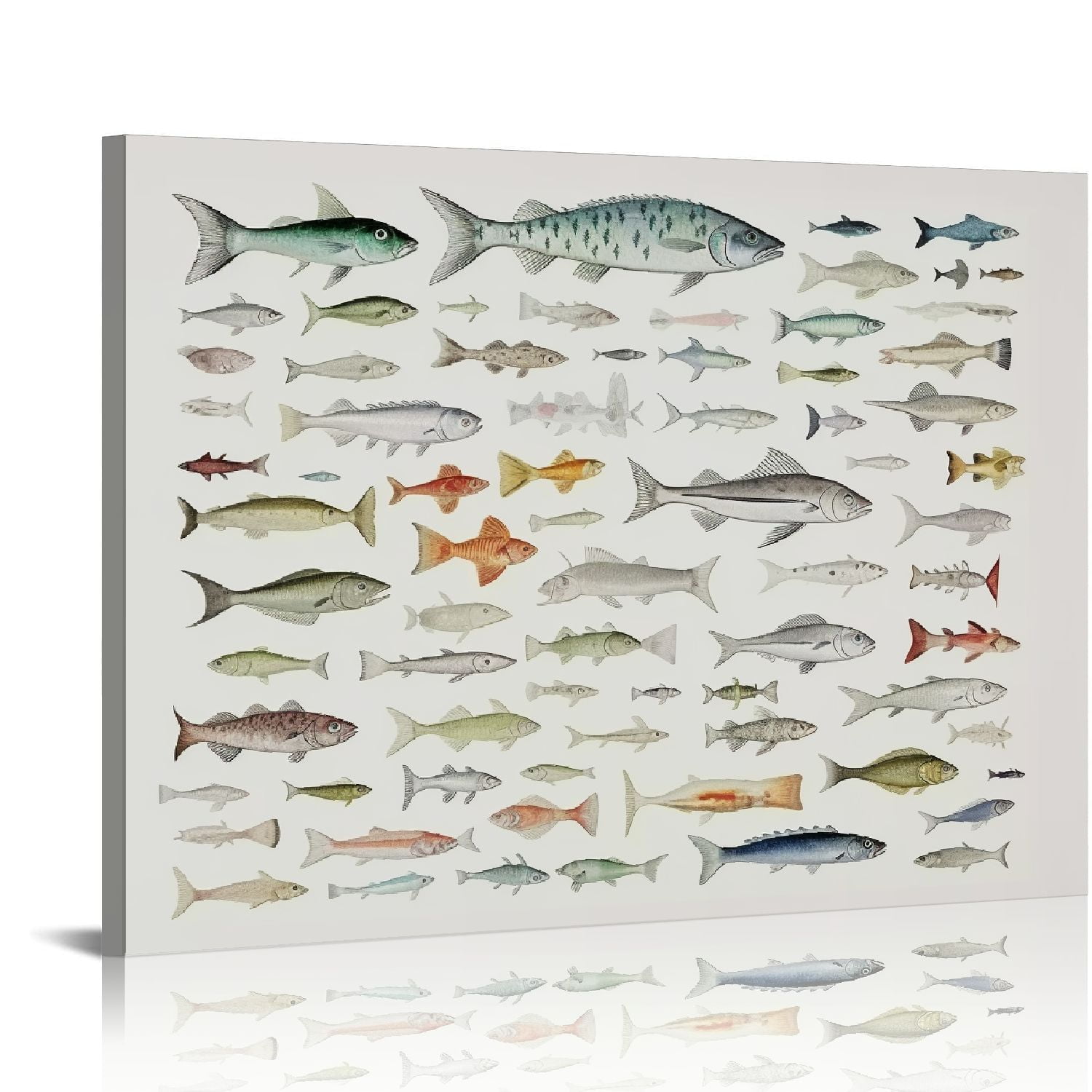 Lingy Vintage Deep Sea Fish Species Decor Canvas Paints Wall Art Rustic ...