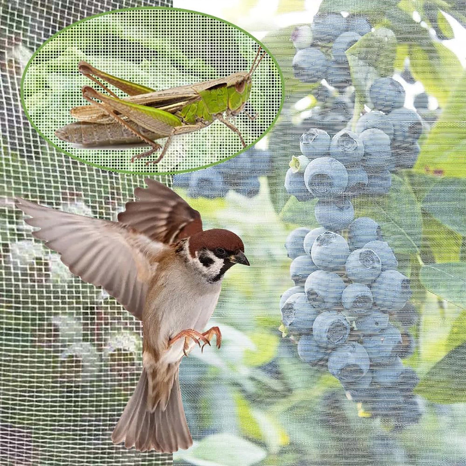Linjieee Garden Net Cover Bird & Barrier For Greenhouse Adjustable ...