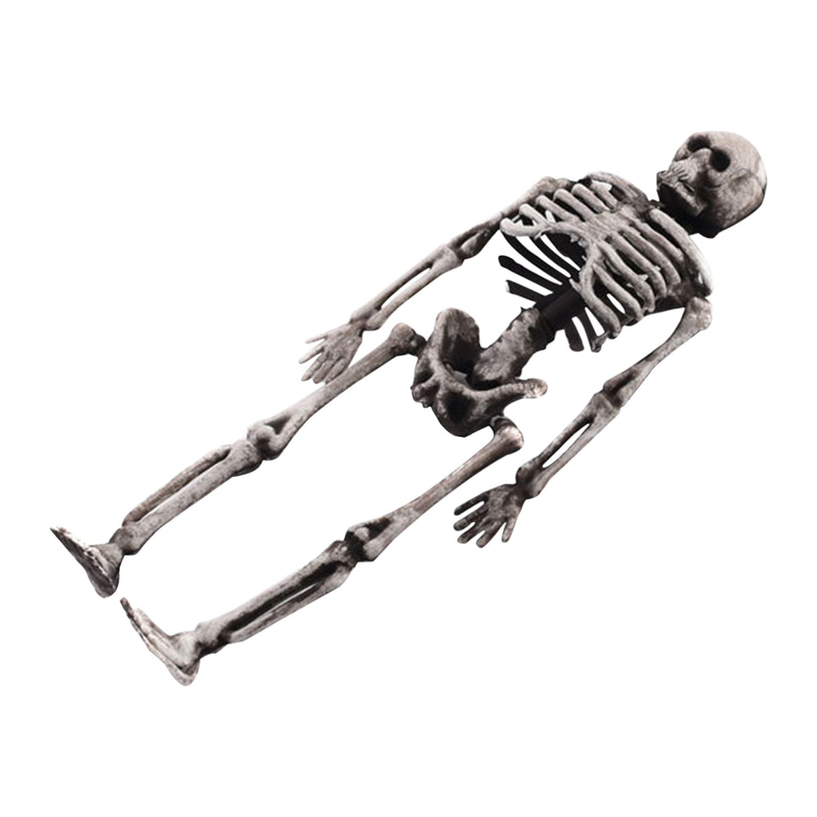 Linjieee Mini Skeleton Pendant Decoration Realistic Skeleton Ornament ...