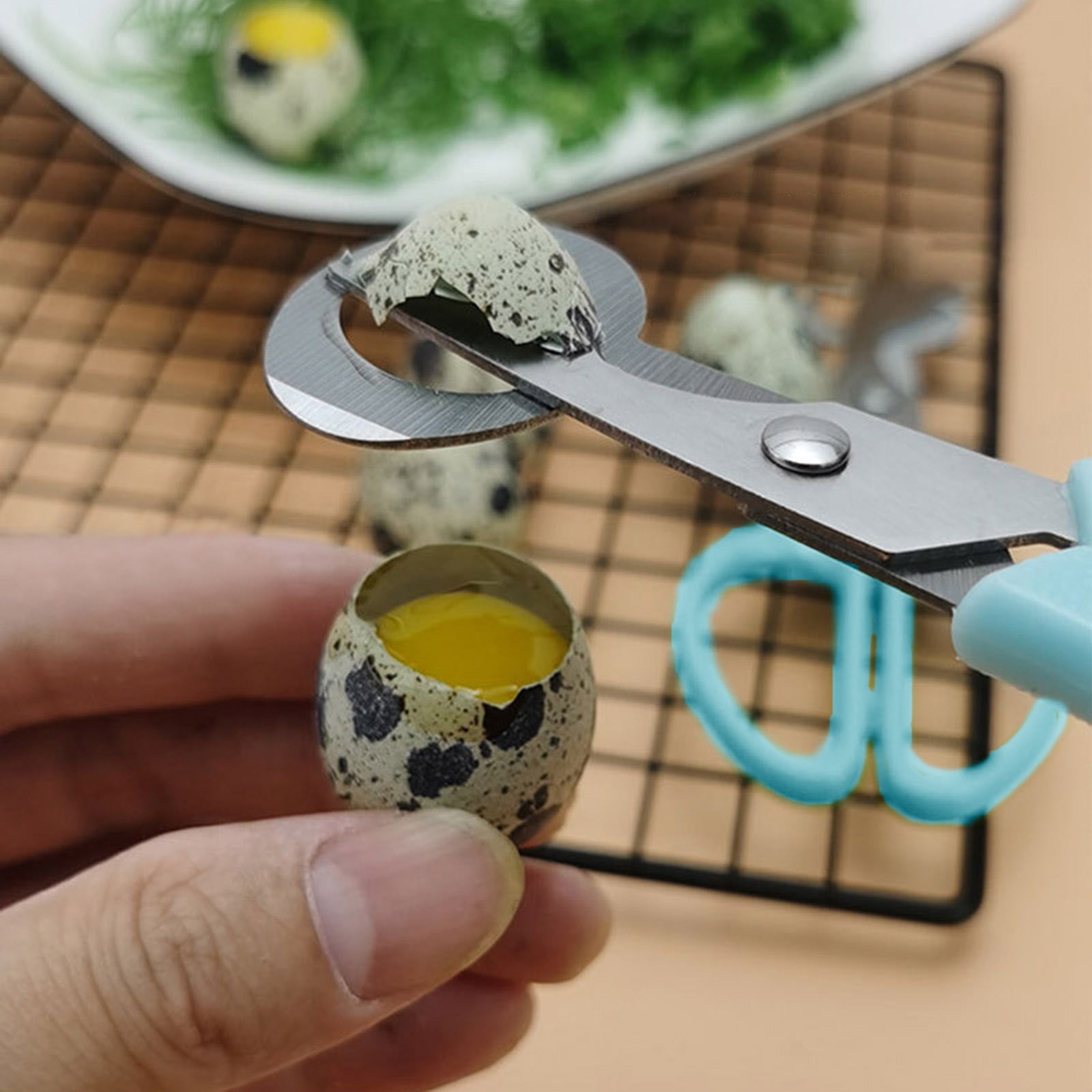 Linjieee Quail Egg Scissors Stainless Steel Egg Scissors Household Egg ...