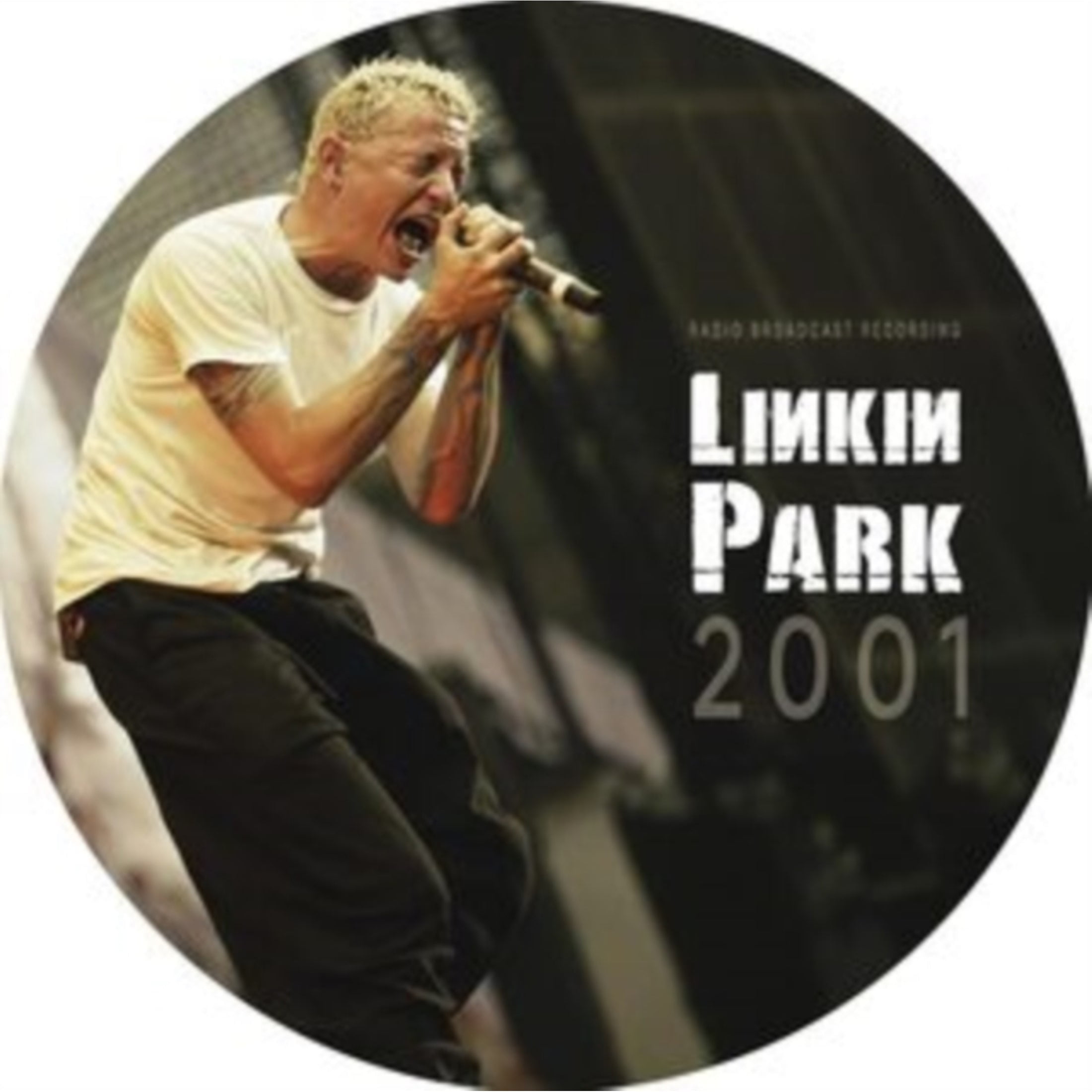 Linkin Park - 2001 (Pic Disc) [12 Inch Vinyl] - Walmart.com