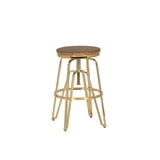 Linon Farhart Backless Bar Stool with Adjustable Height & Swivel, Gold ...