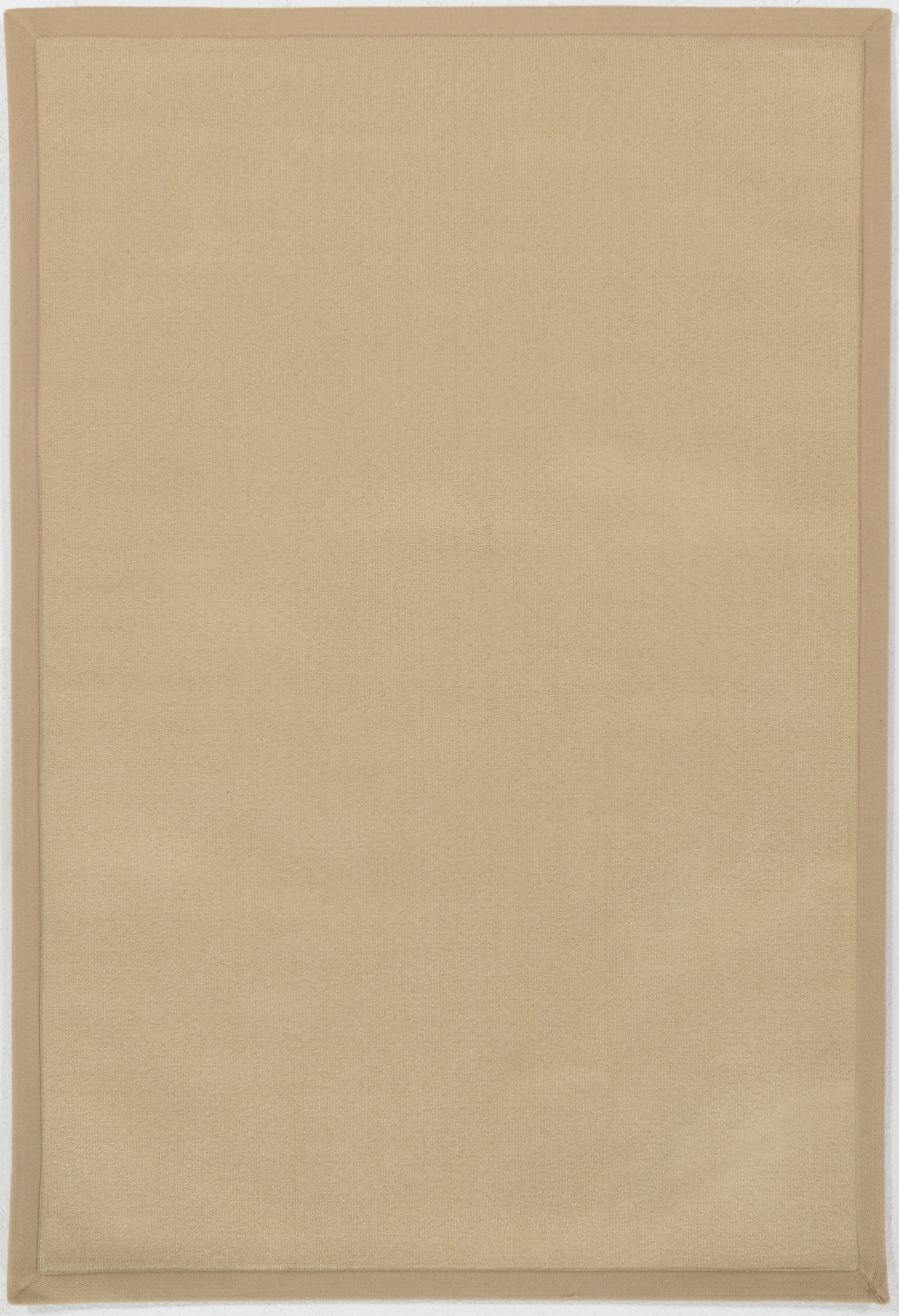 Linon Faux Sisal Tufted Area Rug, 2' x 3' - Walmart.com