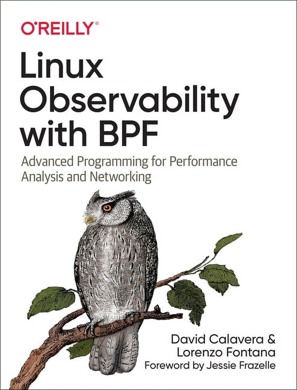 Linux Observability with Bpf: Advanced Programming for Performance Analysis and Networking ...