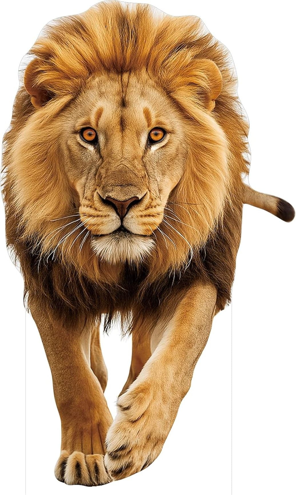 Lion 5FT Life Size Cardboard Cutout, Fun Animal Standup, Perfect for ...