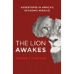 Big Cats: Lions (Hardcover) - Walmart.com
