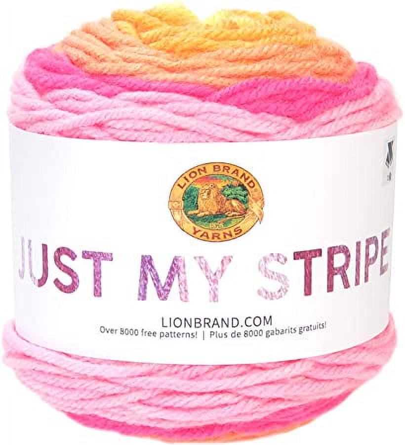 Lion Brand Yarn 502-610 Just My Stripe Yarn, One Size, Strawberry ...