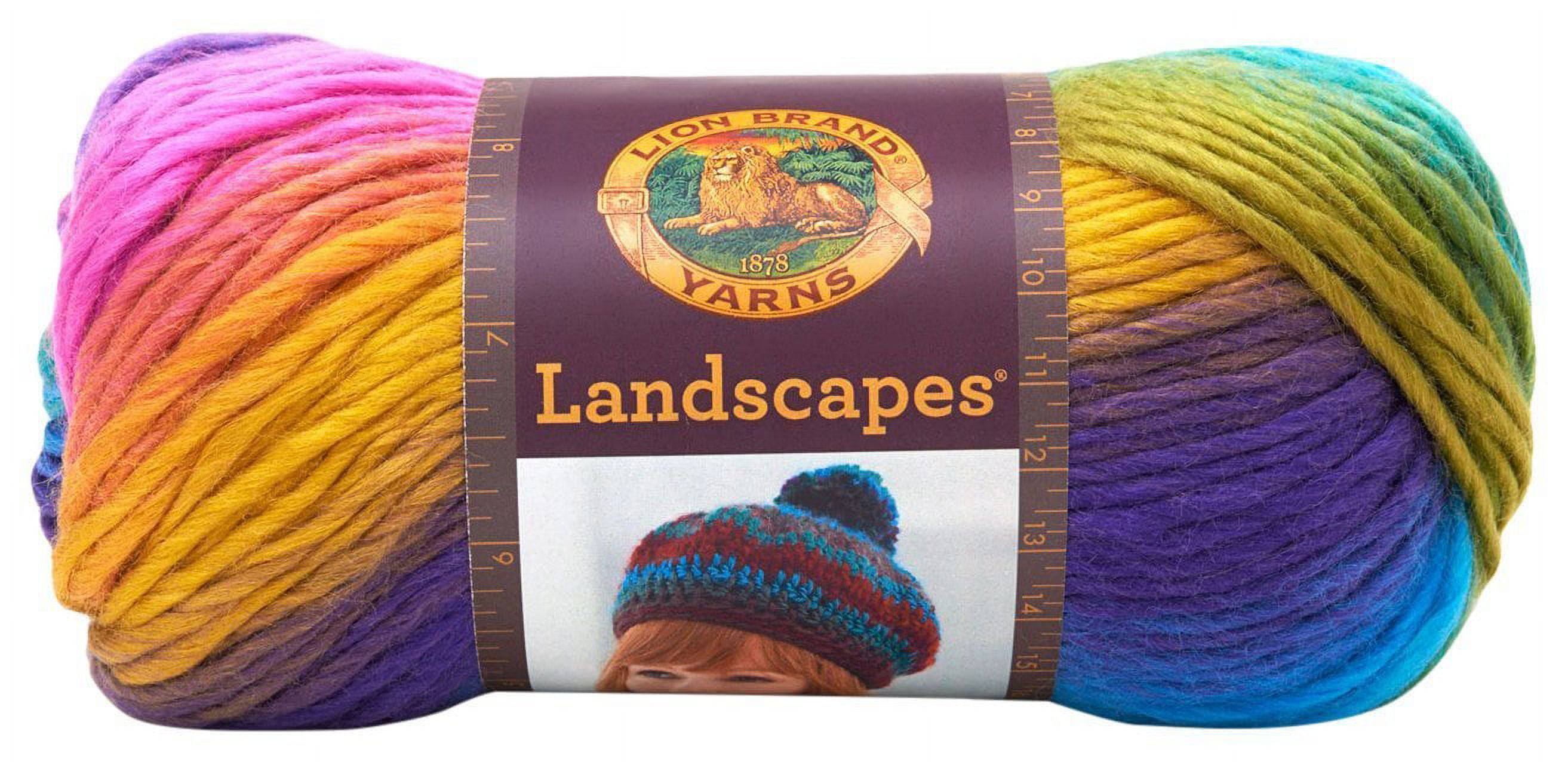 Lion Brand Yarn 545-201 Landscapes Yarn, Boardwalk - Walmart.com