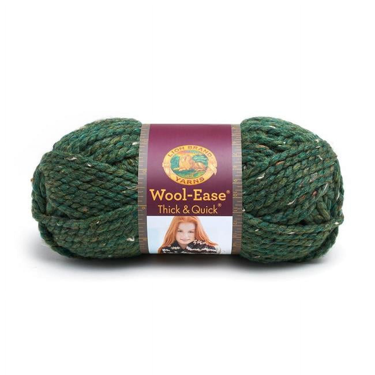 Lion Brand Yarn Wool-Ease Thick & Quick Yarn, Kale, 6oz/170g - Walmart ...
