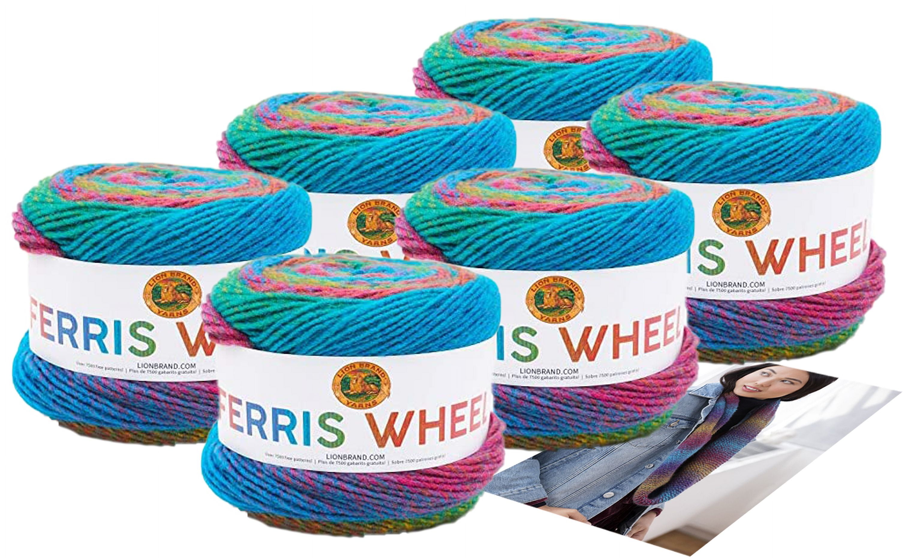 Lion Brand Yarn - Ferris Wheel - 6 Pack (Sprinkles) - Walmart.com