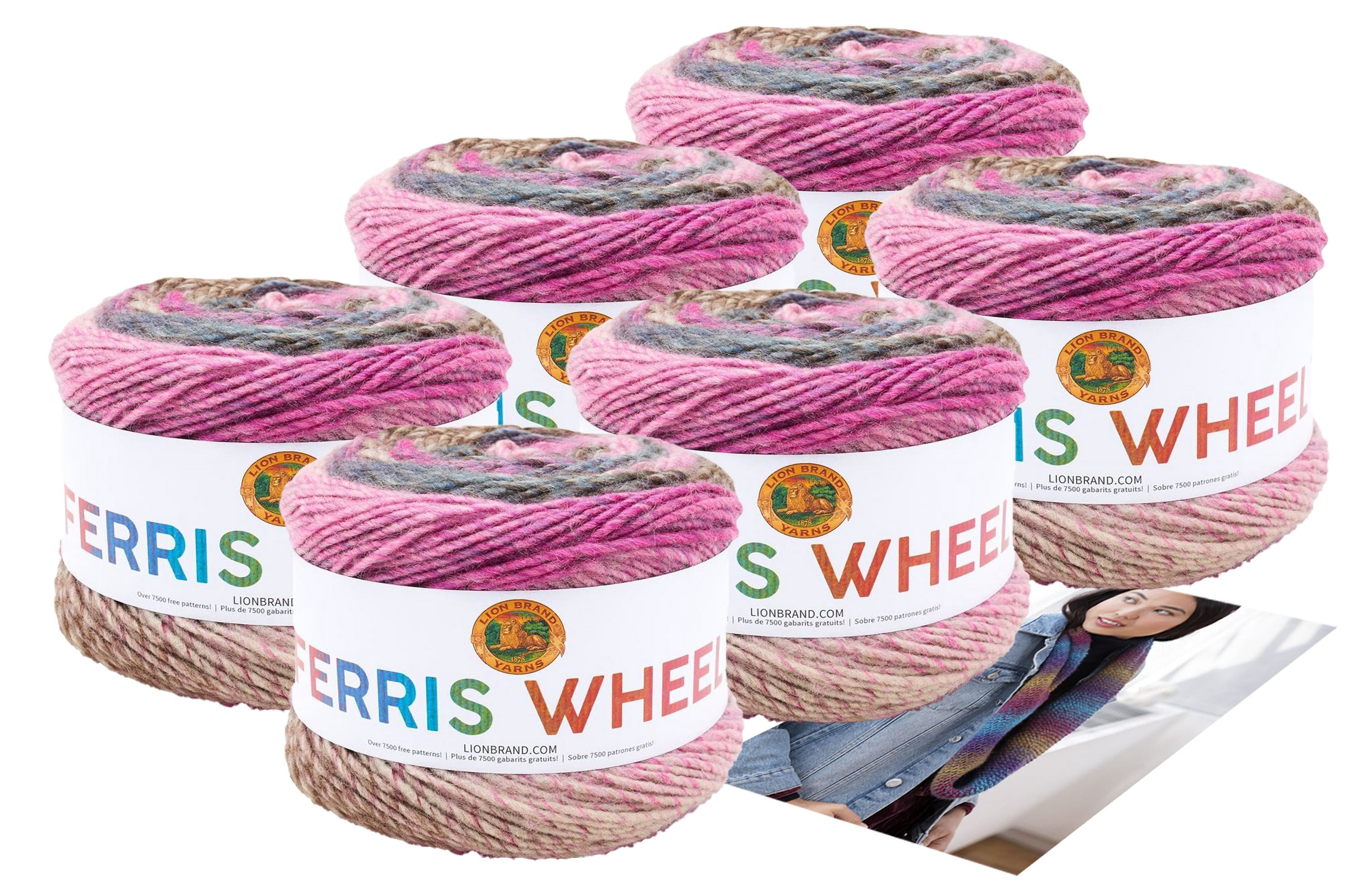 Lion Brand Yarn - Ferris Wheel - 6 Pack (Wild Violets) - Walmart.com