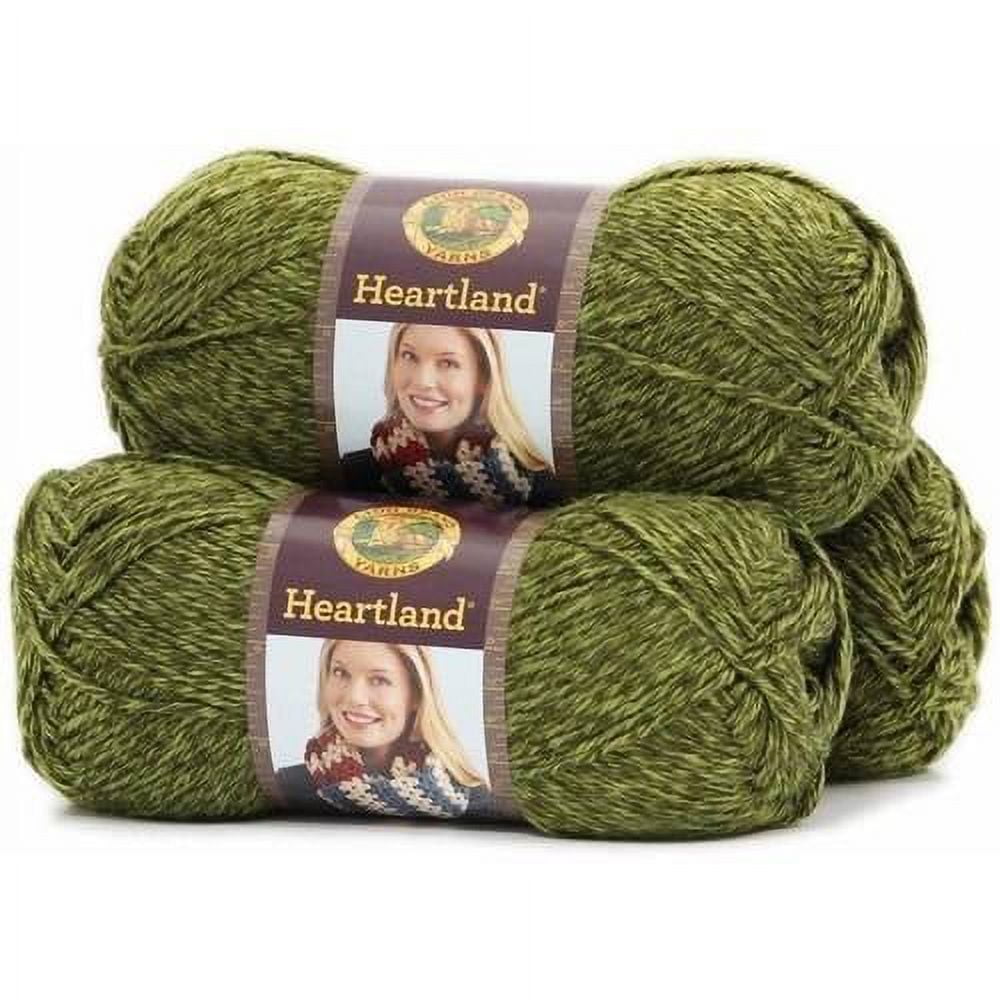 Lion Brand Yarn Heartland Joshua Tree Yarn Medium Acrylic Green Yarn 3 ...