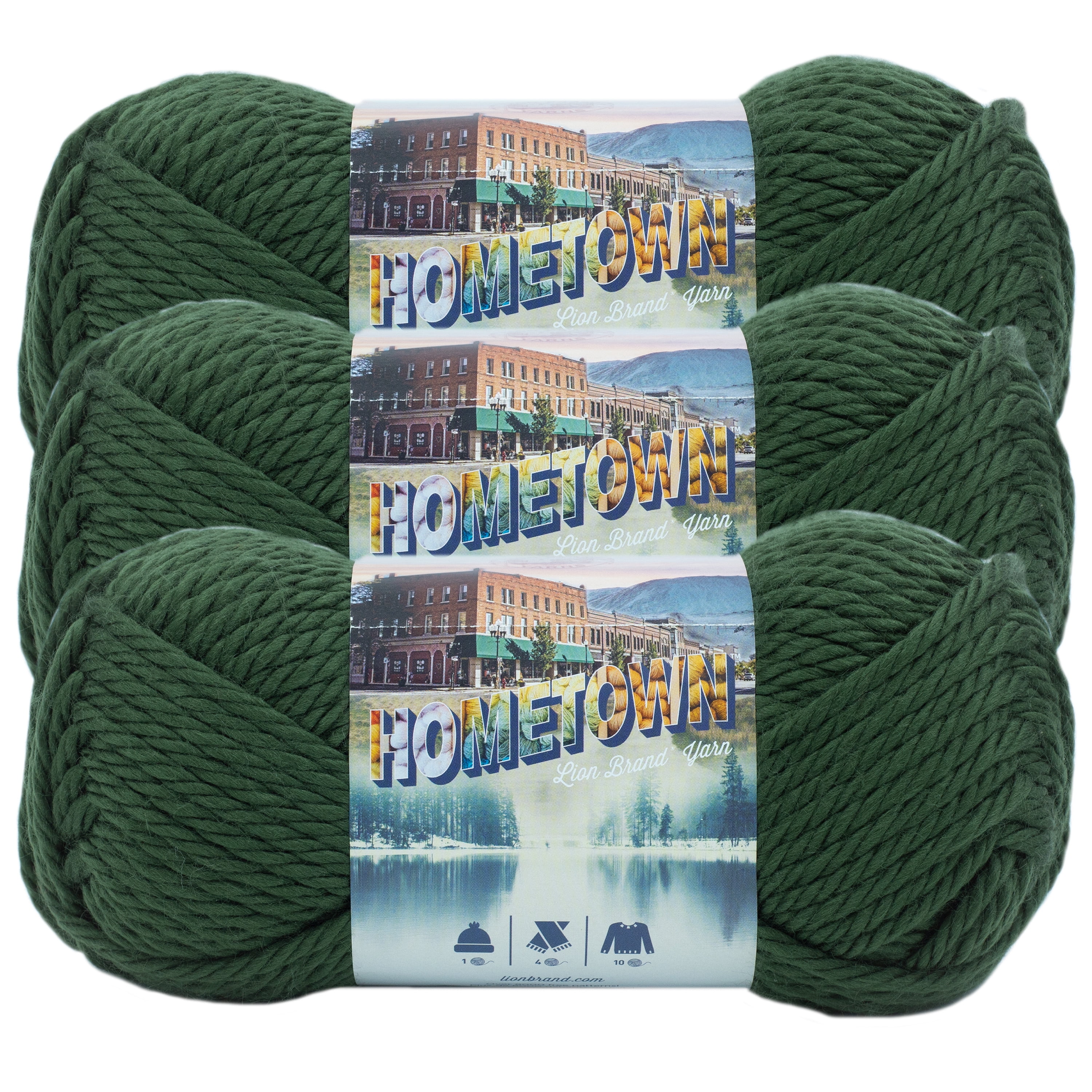 Lion Brand Yarn Hometown Ashland Pine Super Bulky Acrylic Green Yarn 3 ...