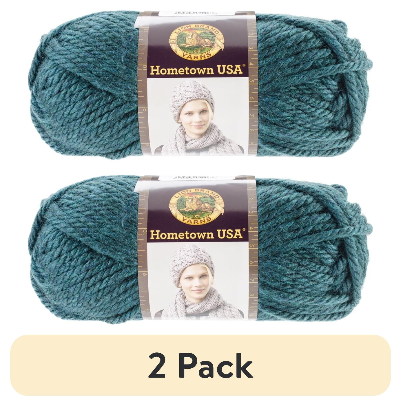 (2 pack) Lion Brand Hometown USA Yarn Peacock - Walmart.com