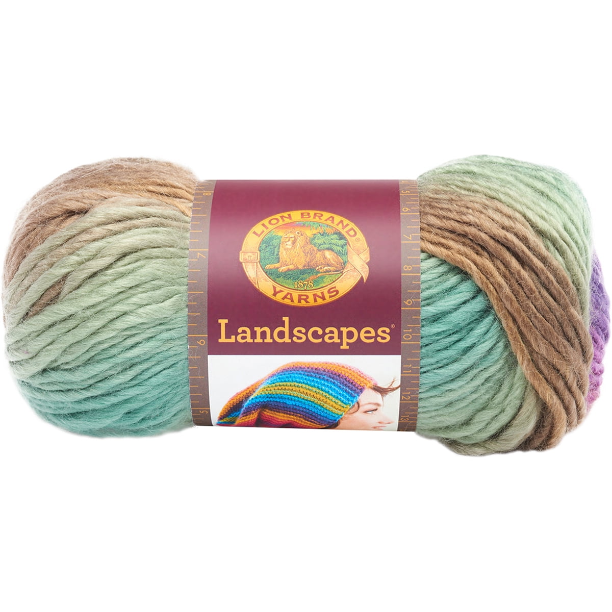Lion Brand Yarn Landscapes Cabana Self-Striping Medium Acrylic Multi ...